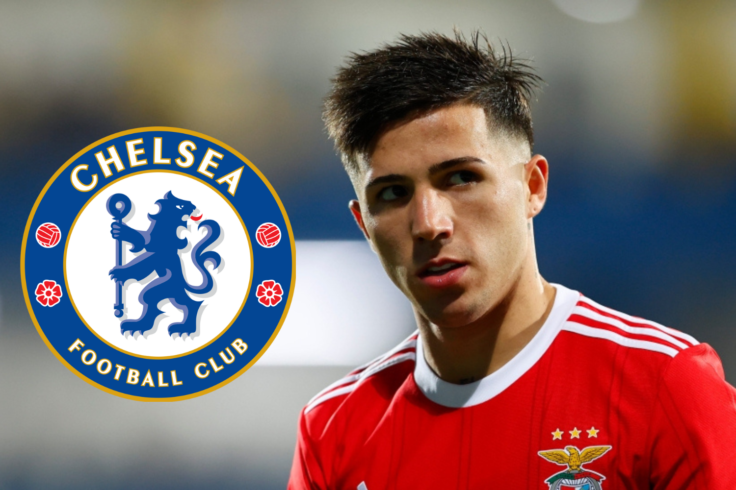 ENZO FERNANDEZ Football News Prediction Preview